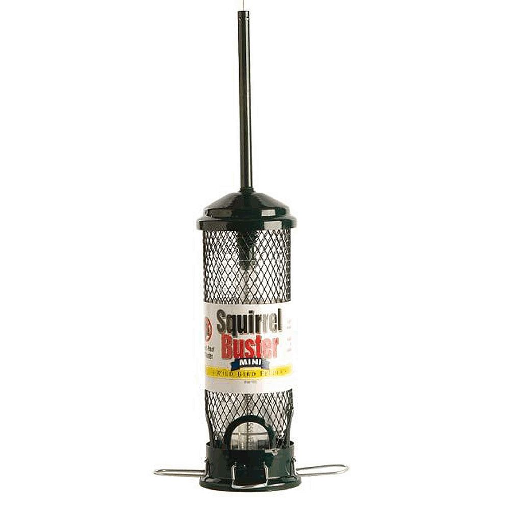 Squirrel Resistant Feeders | Squirrel Proof Bird Feeders | Nantwich ...