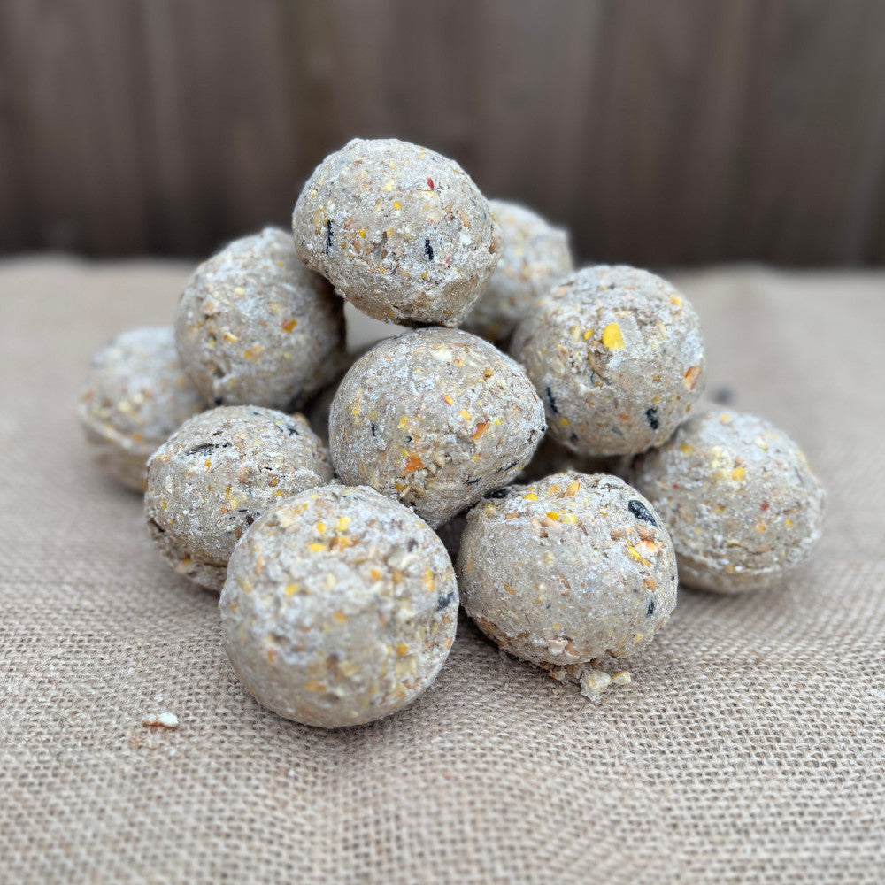 Premium Fat Balls | Buy Fat Balls & Suet at Gala Wildlife