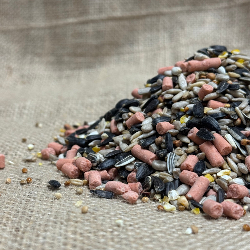 Premium Seed Mix | Buy Seed Mixes at Gala Wildlife